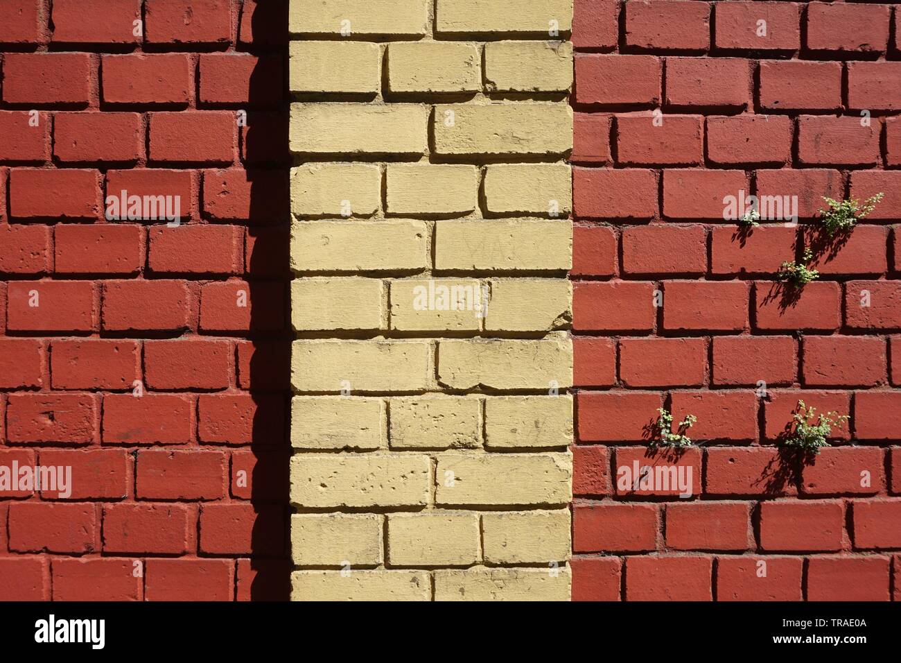 two-colored brick wall Stock Photo - Alamy