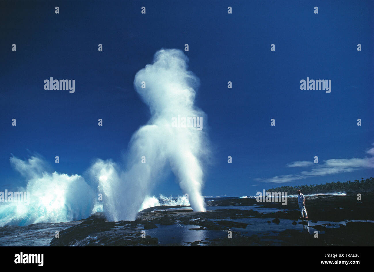 Samoa. Palauli. View of coast. Alofaaga Blowholes Stock Photo - Alamy