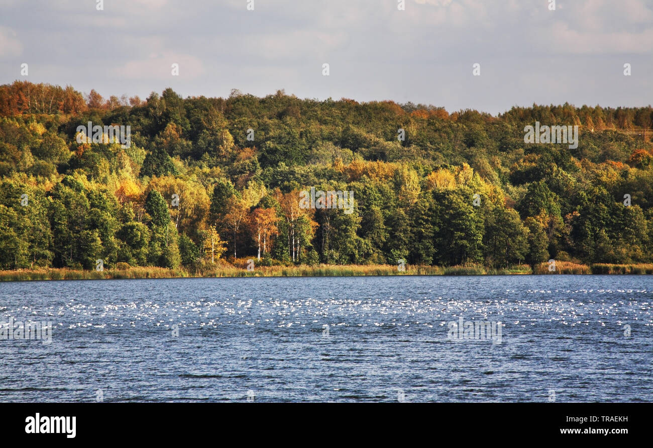 Senezhskoye hi-res stock photography and images - Alamy