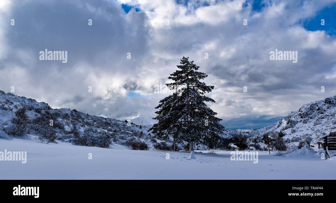 Parnitha Greece High Resolution Stock Photography and Images - Alamy