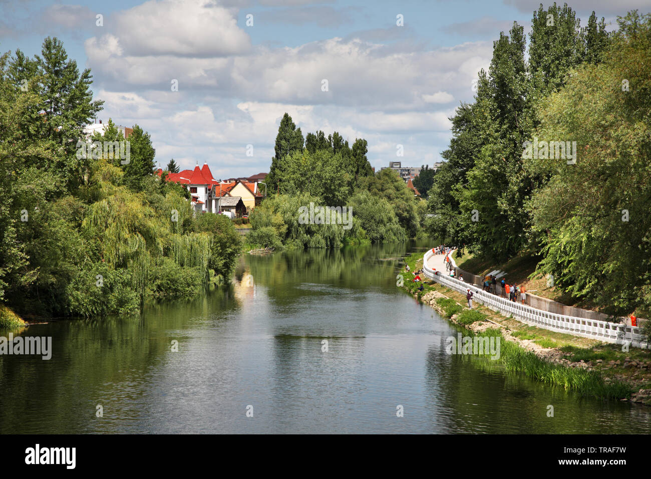 River Crisul Repede in Oradea. Romania Stock Photo - Alamy
