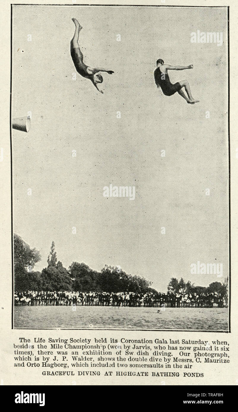 Diving exhhibition at Highgate Bathing Ponds, 1902 Stock Photo - Alamy