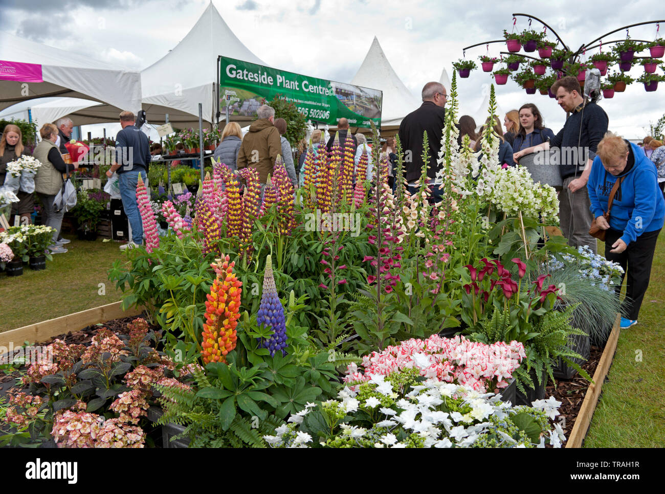 Wilson botanic gardens hi-res stock photography and images - Alamy