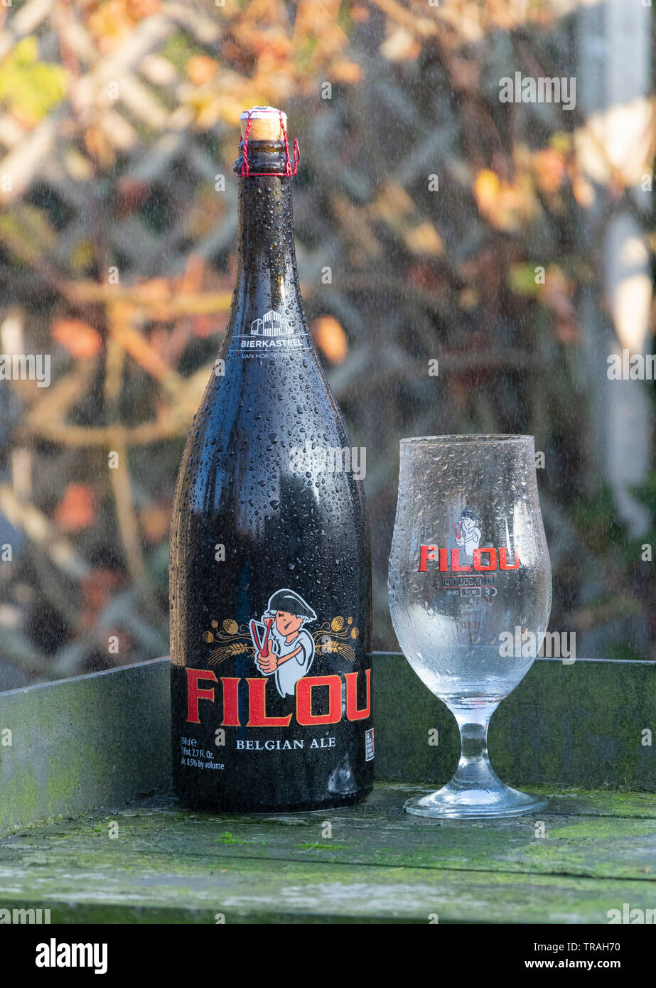 Duvel belgian beer hi-res stock photography and images - Alamy