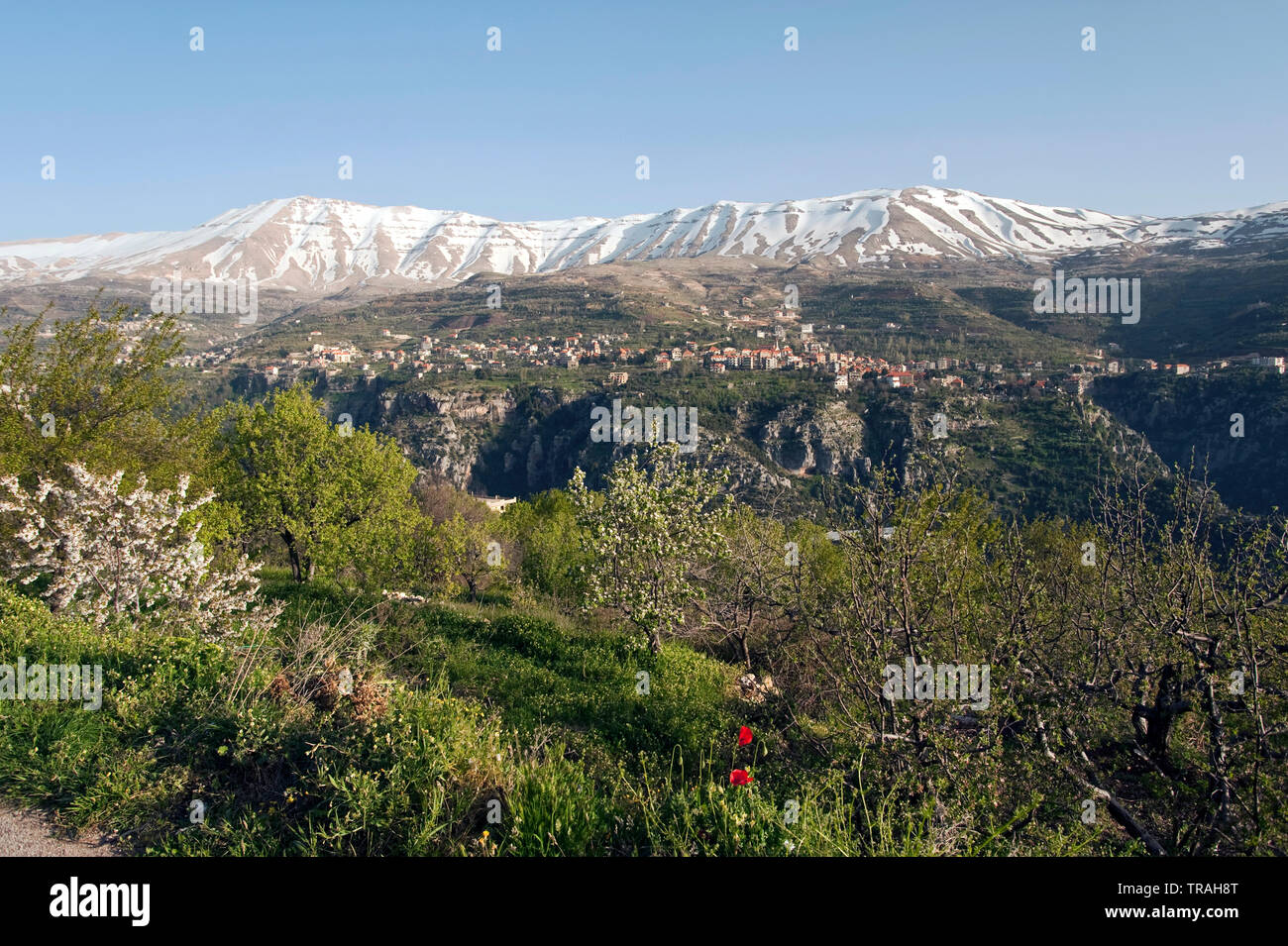 Wadi Qadisha High Resolution Stock Photography and Images - Alamy