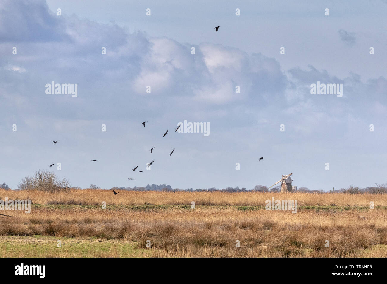 Heigham holmes hi-res stock photography and images - Alamy