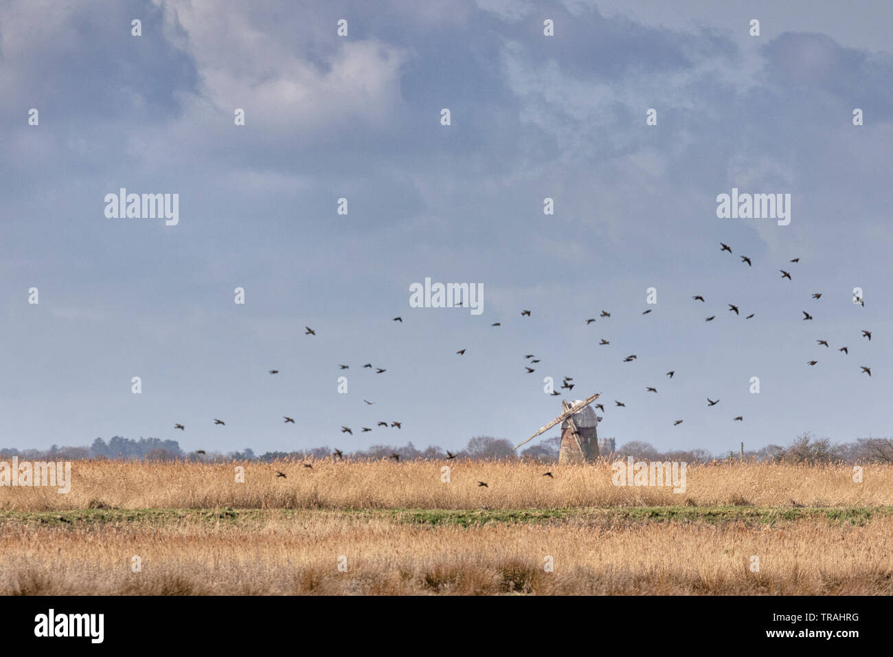 Heigham holmes hi-res stock photography and images - Alamy