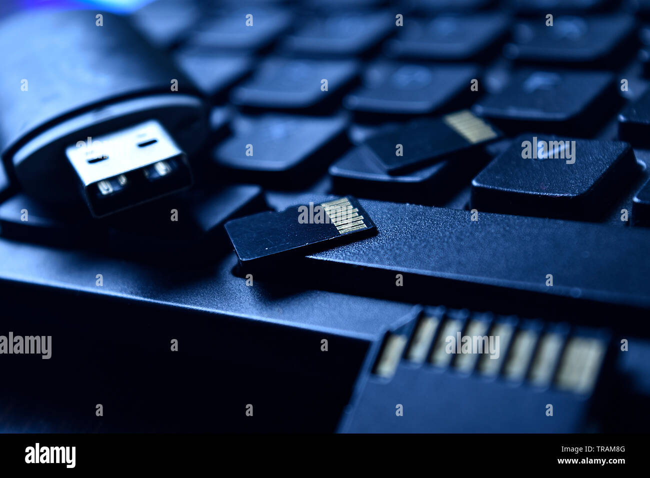 dongle and memory card on keyboard, storage drive, memory card Stock ...