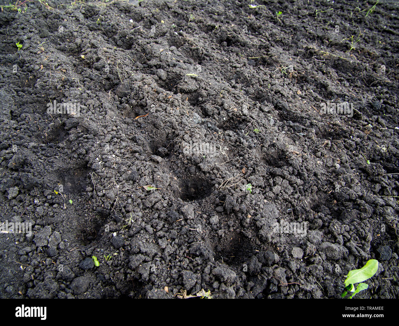 Small pits hi-res stock photography and images - Alamy