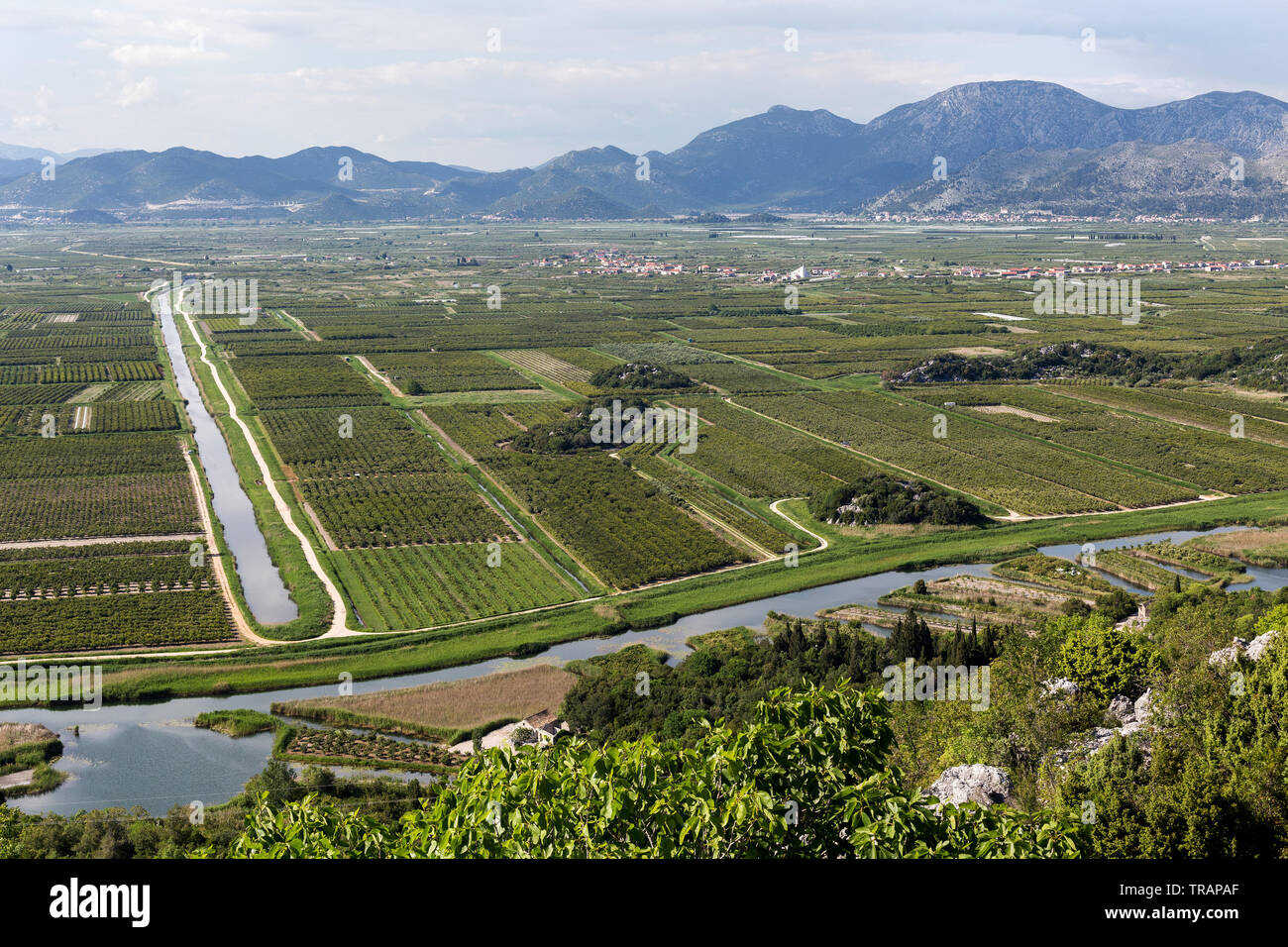Neretva river delta agriculture hi-res stock photography and images - Alamy