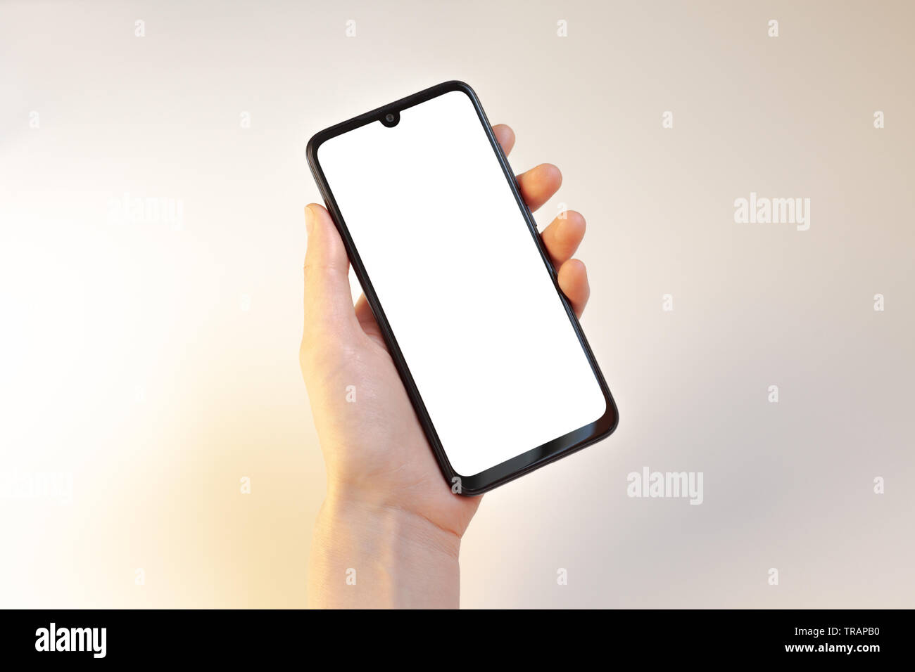 Female left hand holding phone on white background with clipping path ...