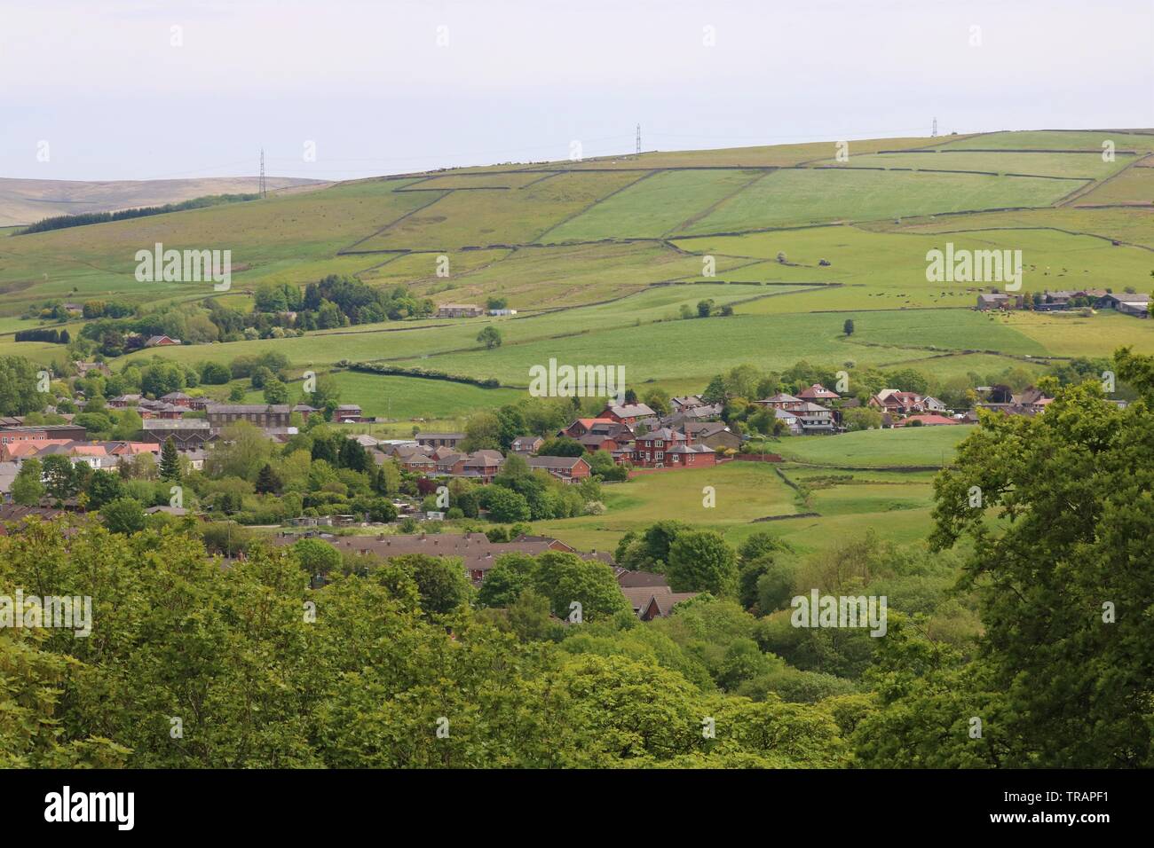 Wild life and landscapes of Milnrow and Rutland Stock Photo - Alamy