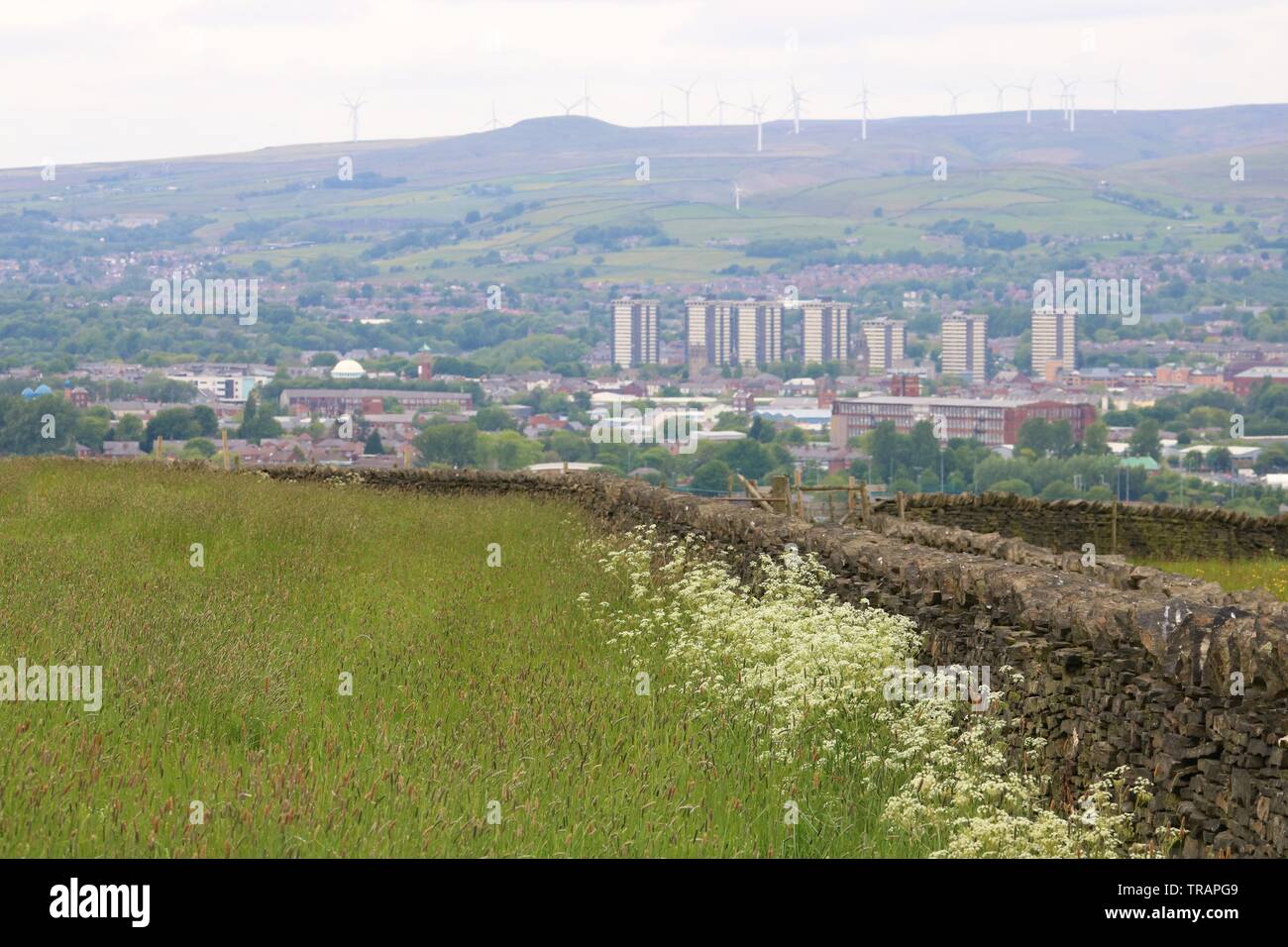 Wild life and landscapes of Milnrow and Rutland Stock Photo - Alamy