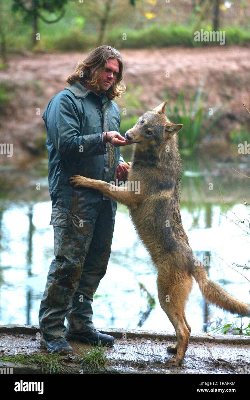 Shaun hi-res stock photography and images - Alamy