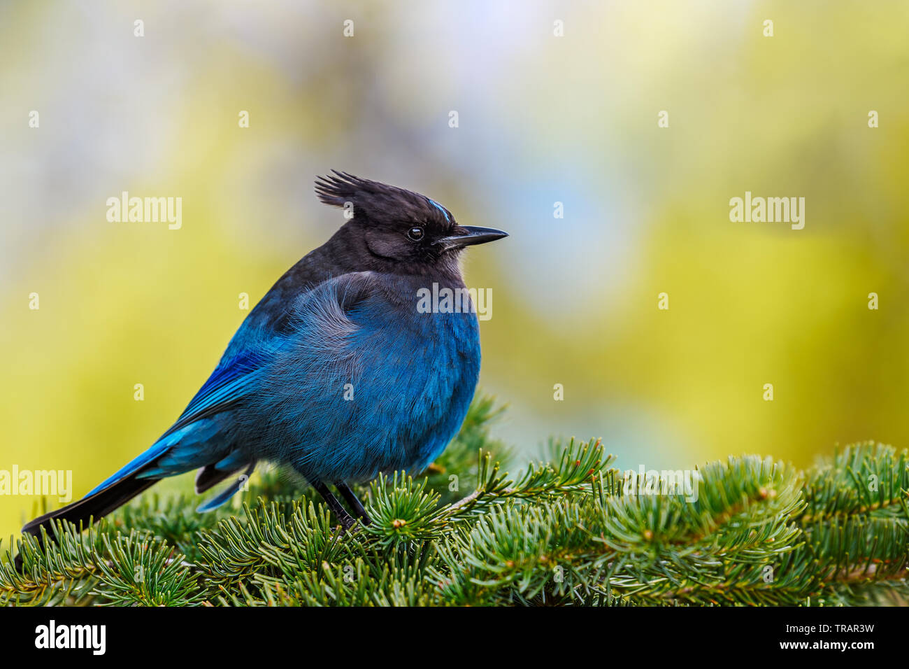 Long aspect ratio hi-res stock photography and images - Alamy