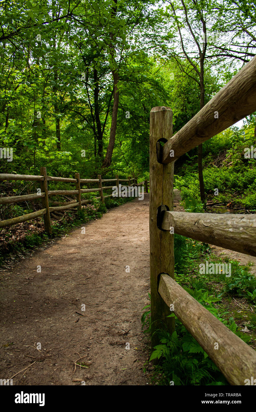 Path in a park in the springtime Stock Photo - Alamy