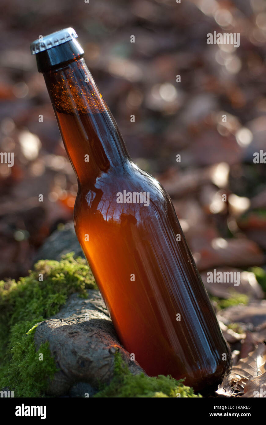 Bottle of beer in the forest Stock Photo - Alamy