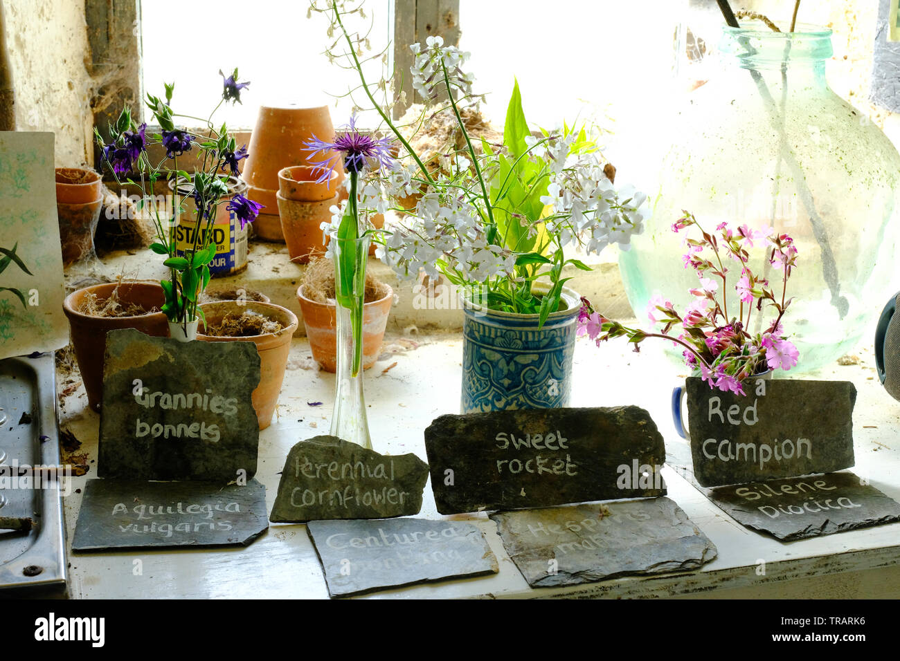 Potting shed interior hi-res stock photography and images - Alamy