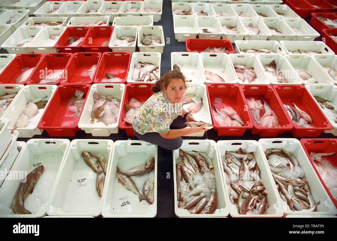 Plymouth fish market hi-res stock photography and images - Alamy