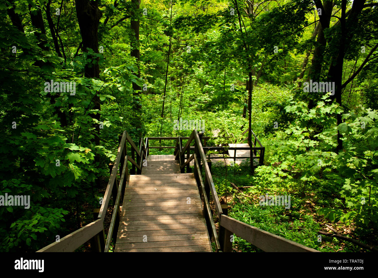 Ravine toronto hi-res stock photography and images - Alamy