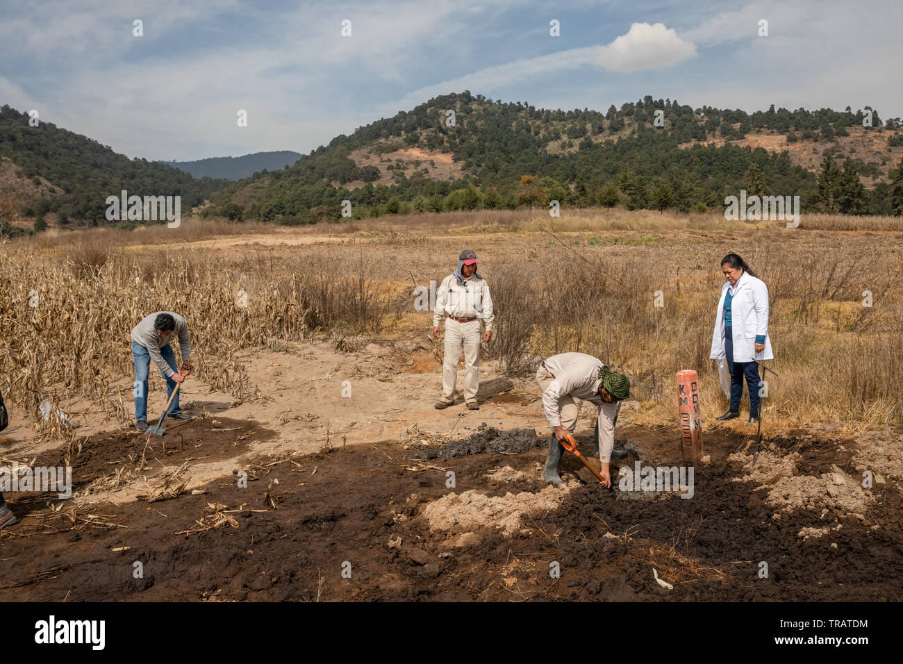 Contaminated land survey hi-res stock photography and images - Alamy