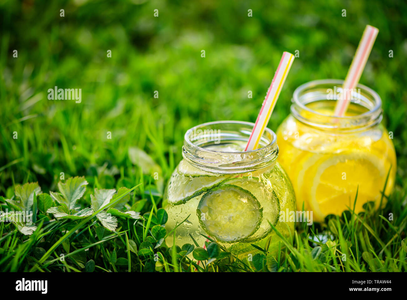 Lemonade with lemon and lime in glass jars in the green grass Stock ...