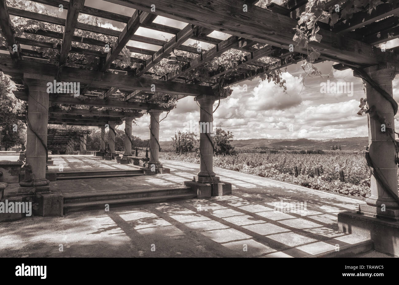 Grapevine pergola hi-res stock photography and images - Alamy