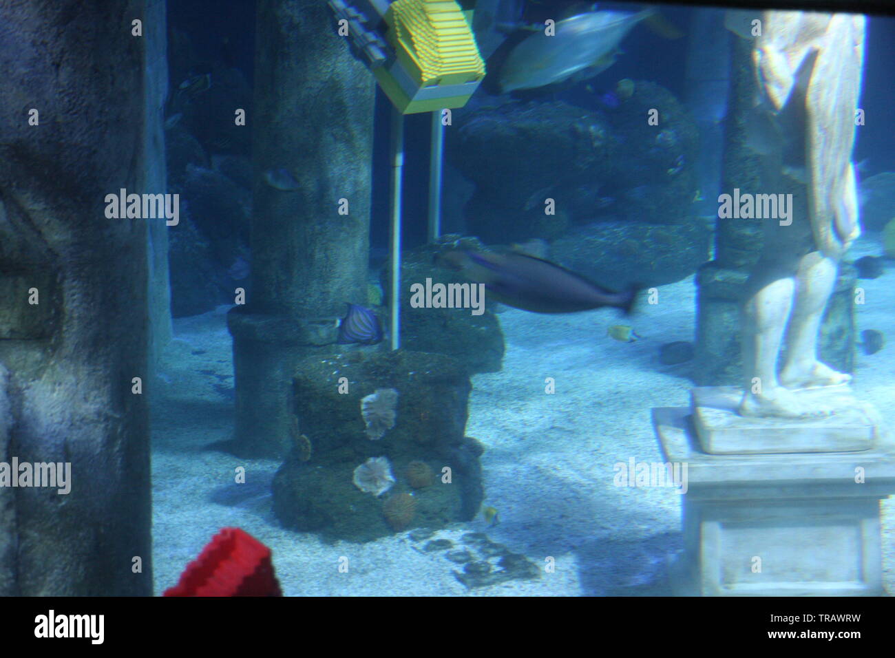 Lego waterworld with variuos Lego figs, vehicles and animals in ...