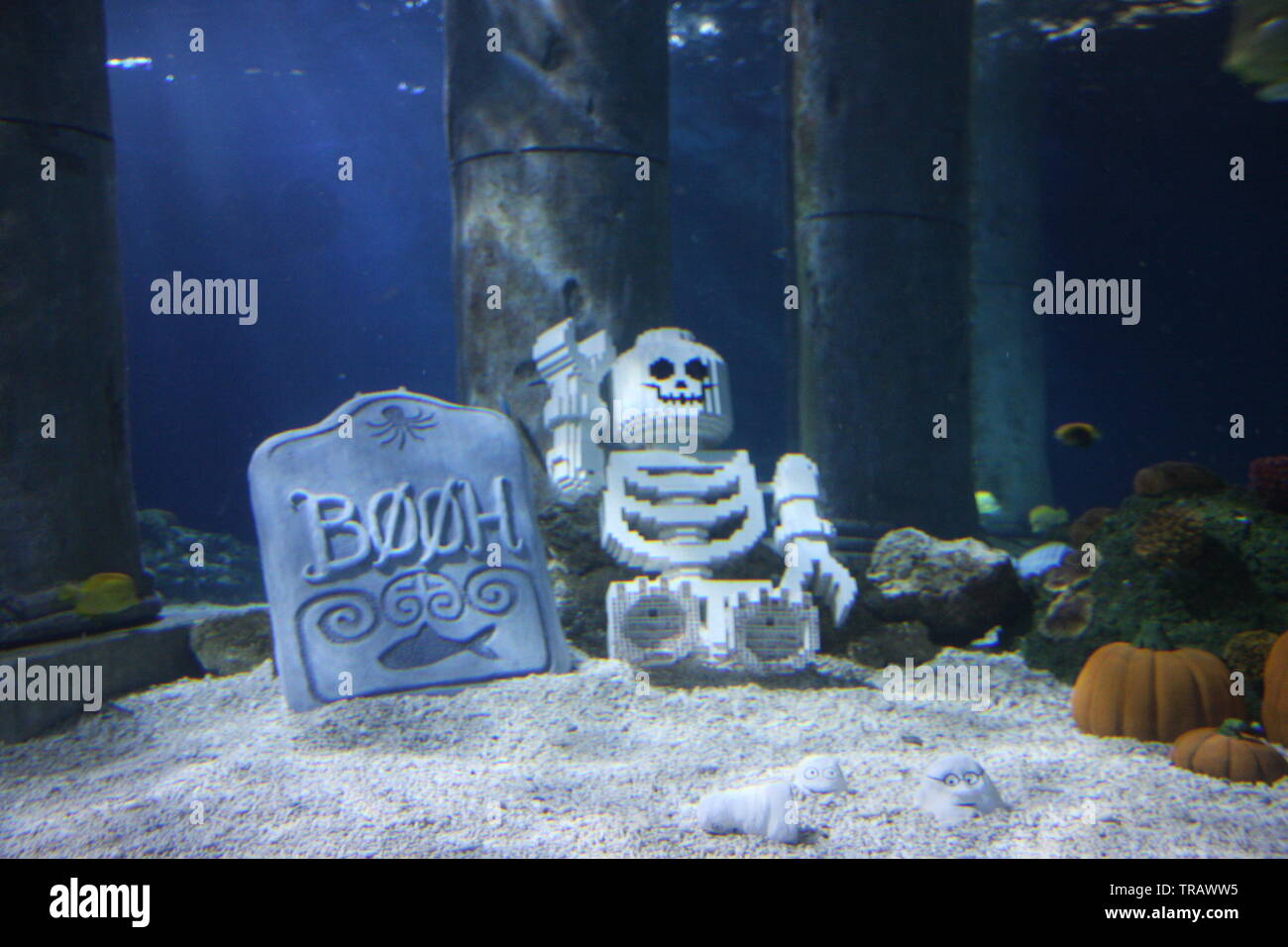 Lego waterworld with variuos Lego figs, vehicles and animals in ...