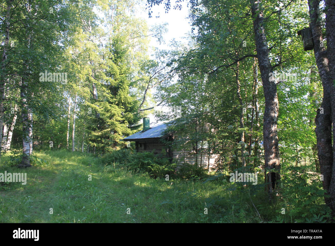 Old-fashioned sauna log cabin in Finland in the summer Stock Photo - Alamy