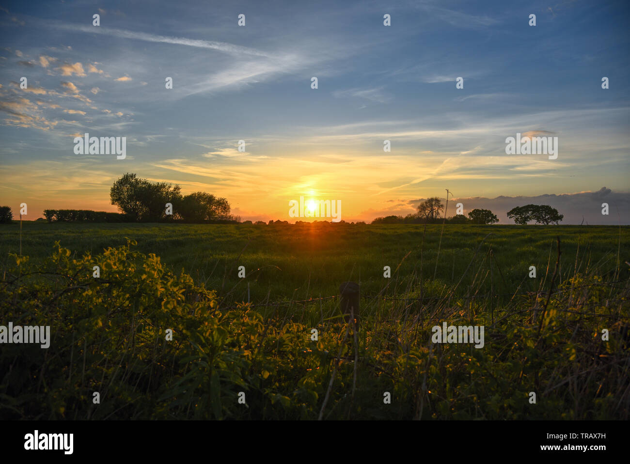 Grass sunset end day hi-res stock photography and images - Alamy