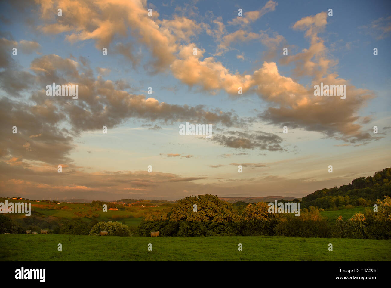 Pink sky fields hi-res stock photography and images - Alamy