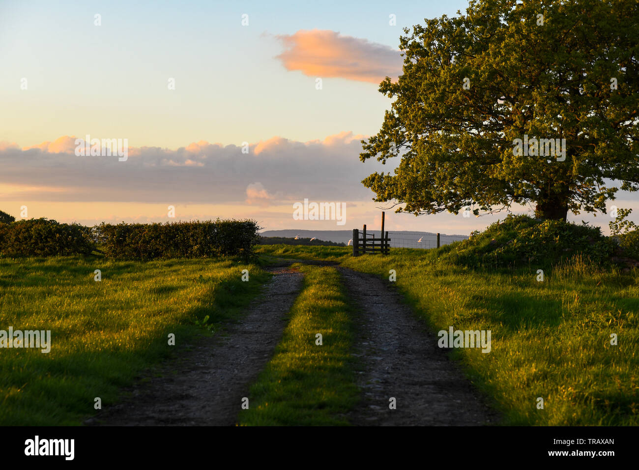Farmland farm rural country countryside gate fence pasture hi-res stock ...