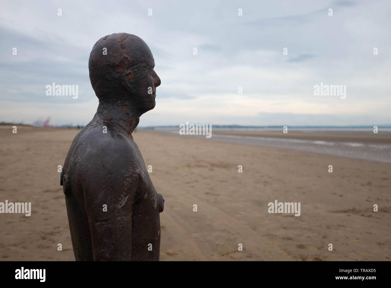 Antony Gormley Another Place High Resolution Stock Photography and ...