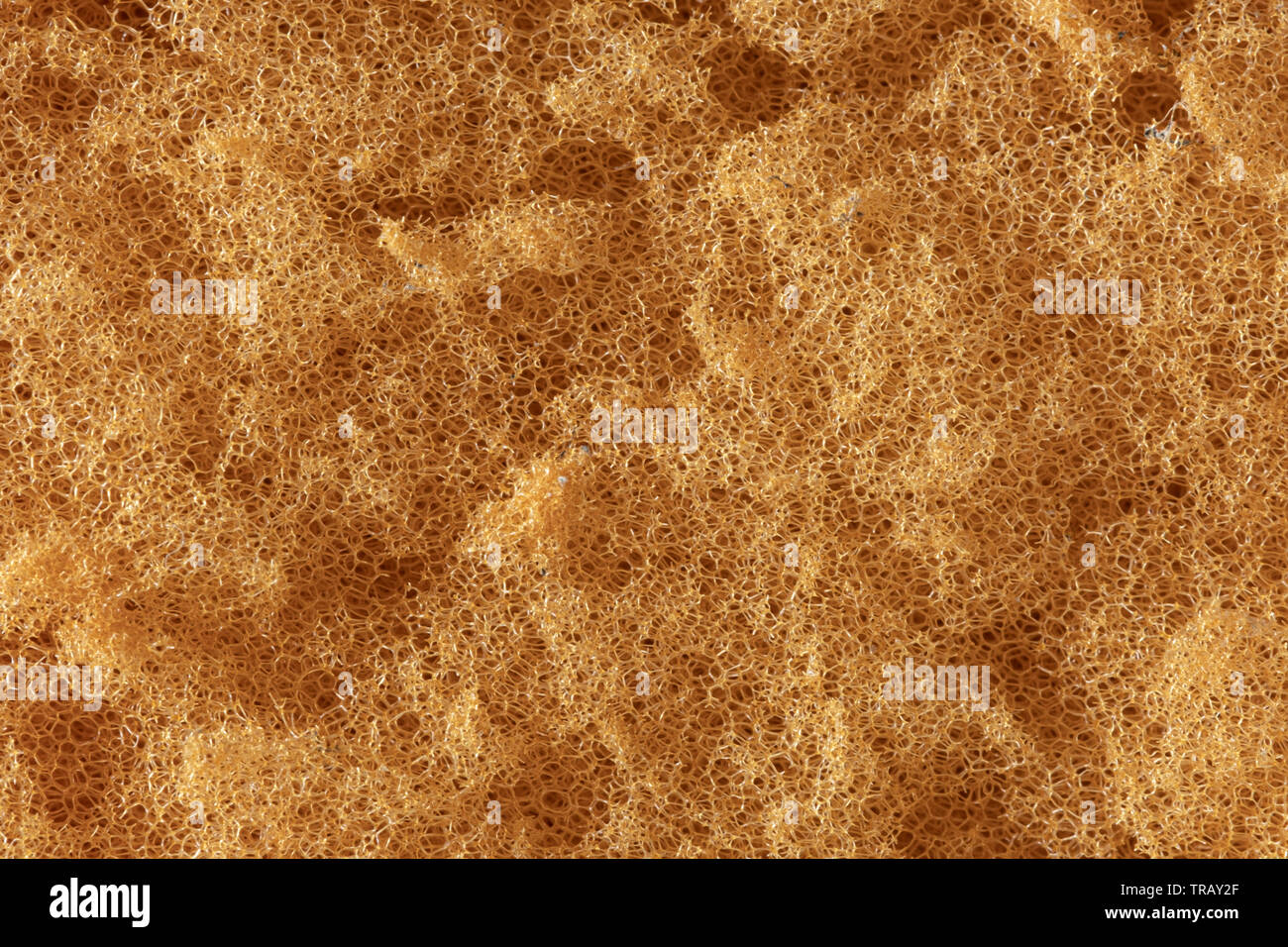 Spongey texture hi-res stock photography and images - Alamy