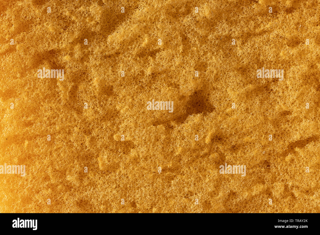 Spongey texture hi-res stock photography and images - Alamy