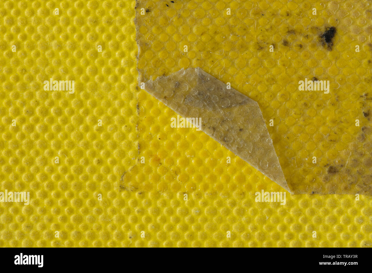 Macro image of the yellow texture of a book cover Stock Photo - Alamy