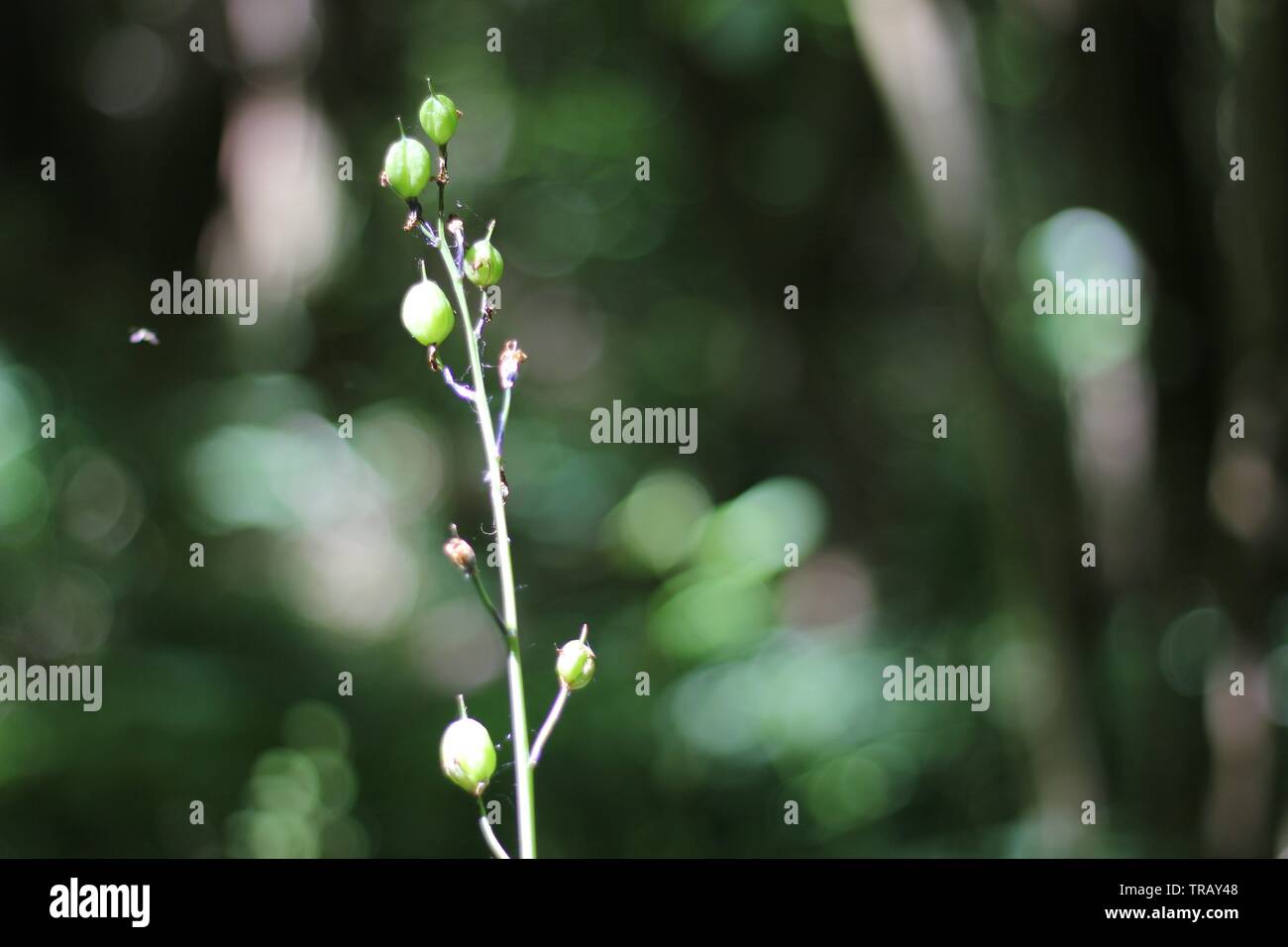 Spring time in england hi-res stock photography and images - Alamy