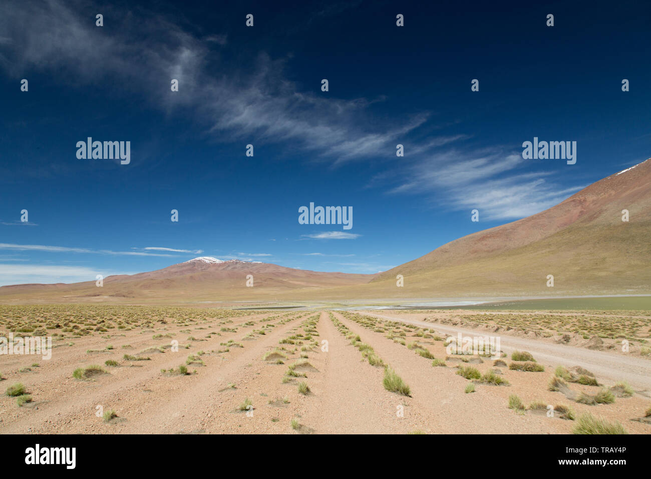 Inca road desert hi-res stock photography and images - Alamy