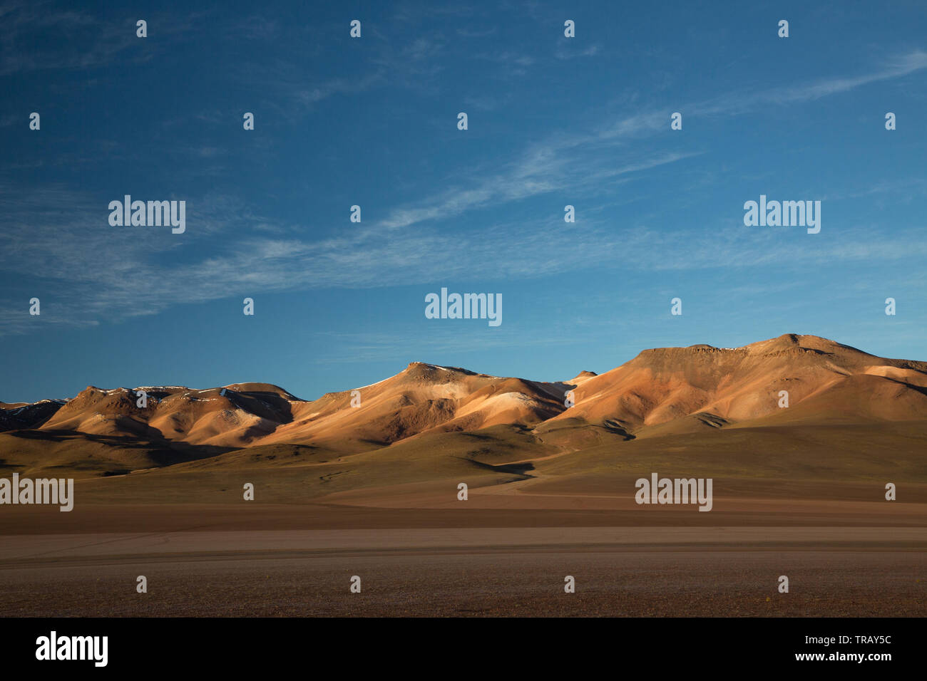 Altiplano mountains hi-res stock photography and images - Alamy