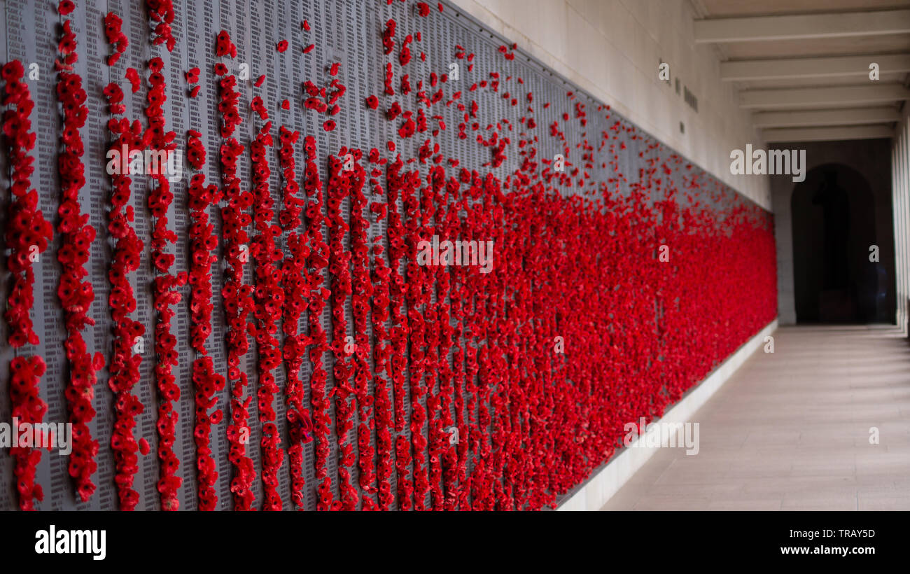 Australian war memorial roll of honour hi-res stock photography and ...