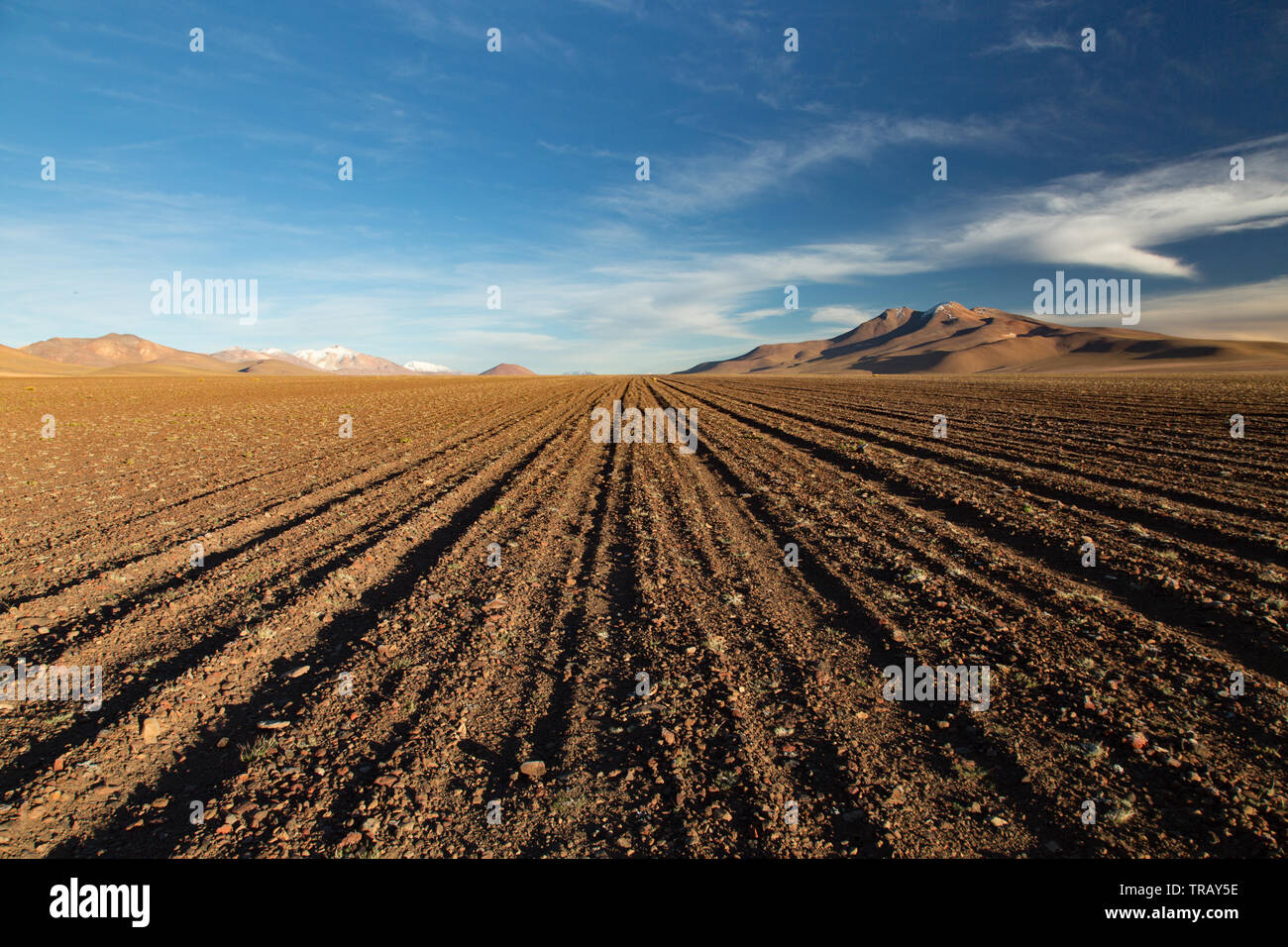 High desert landscape hi-res stock photography and images - Alamy