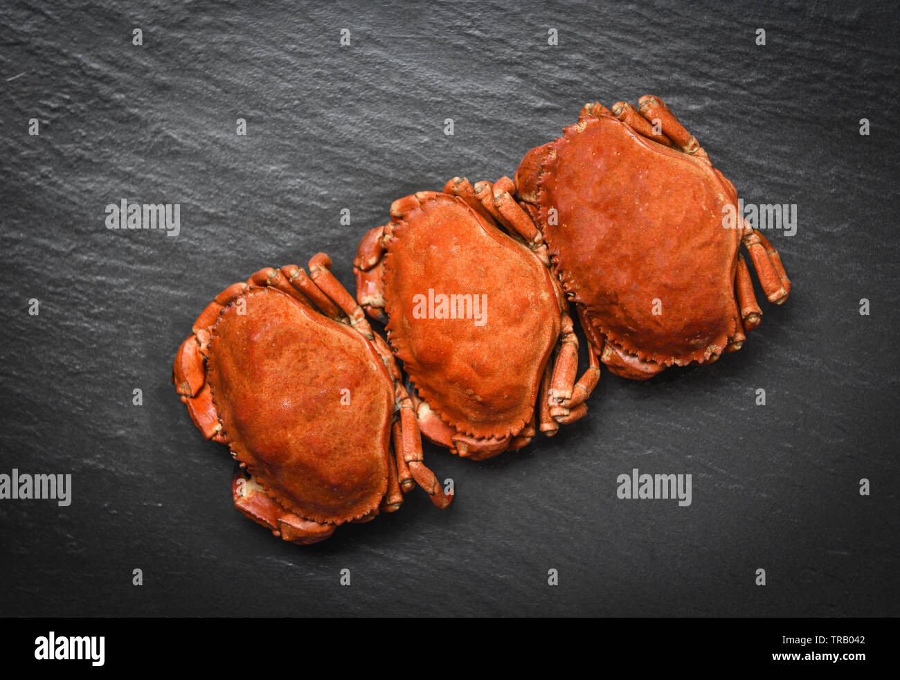 Oceanstone hi-res stock photography and images - Alamy