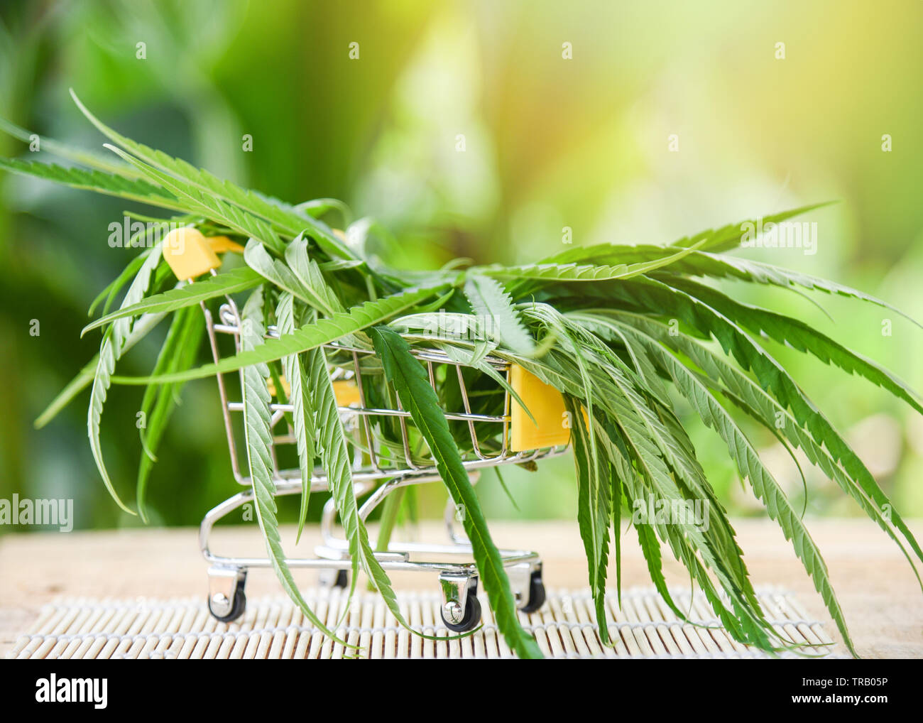 Cannabis business marijuana market industry trend grow higher quickly ...