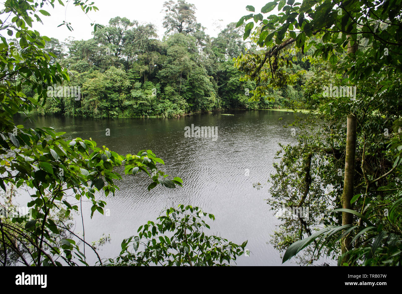 Small lake in Arenal Volcano Stock Photo - Alamy