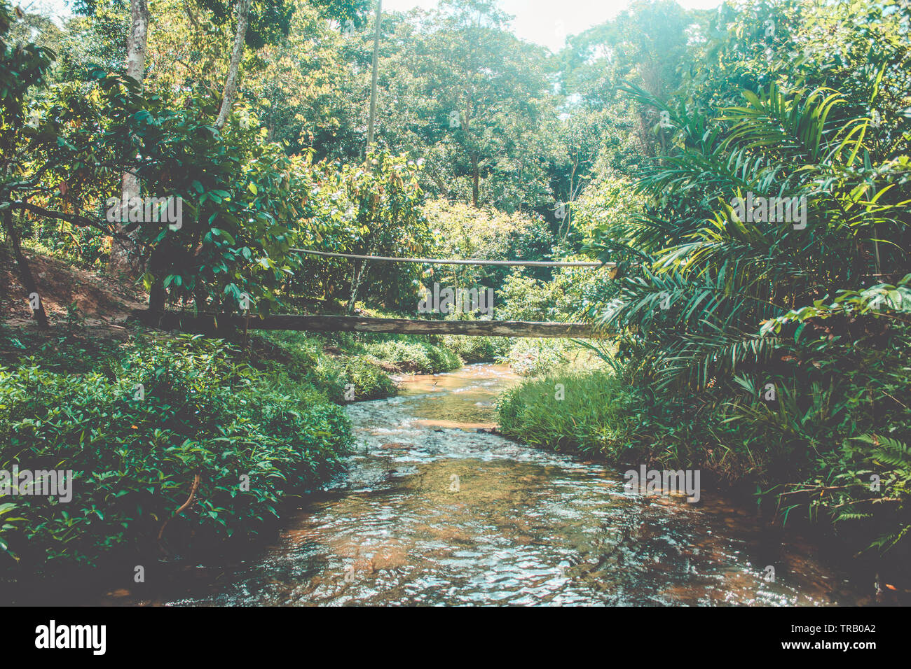 bridge over a stream river Stock Photo - Alamy