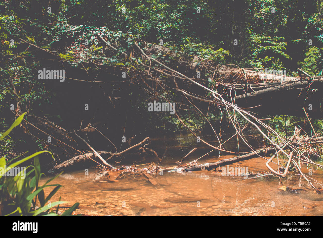 Water fall waterfall bridge over hi-res stock photography and images ...