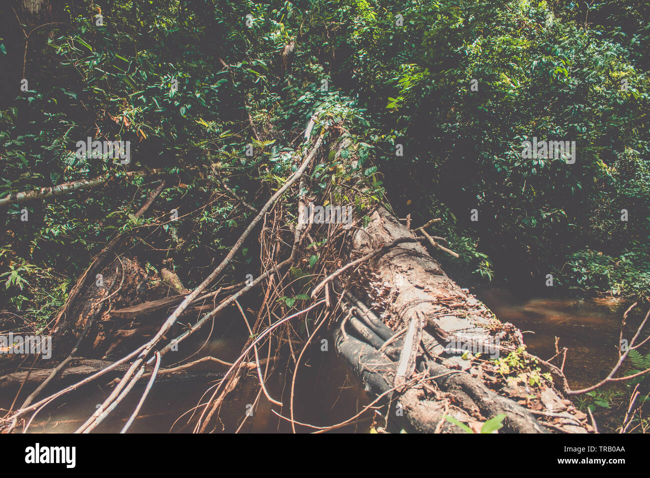 Water fall waterfall bridge over hi-res stock photography and images ...