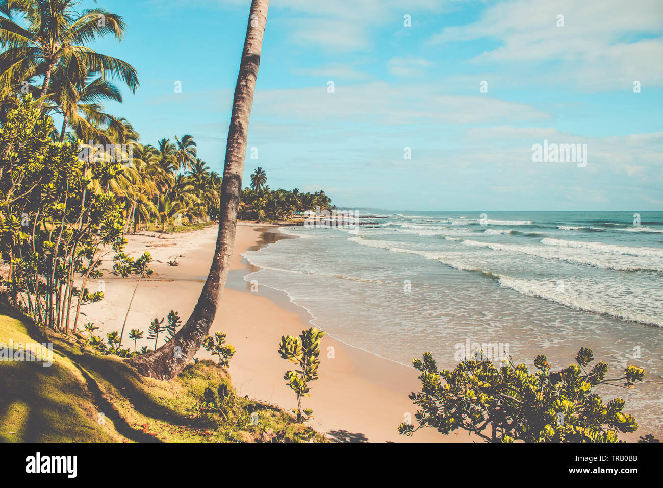 Tropical Beach Landscape in Ilheus, Bahia Stock Photo - Alamy