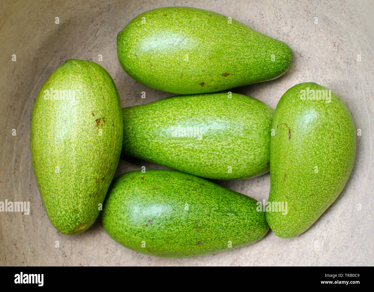 Aguacate criollo hi-res stock photography and images - Alamy